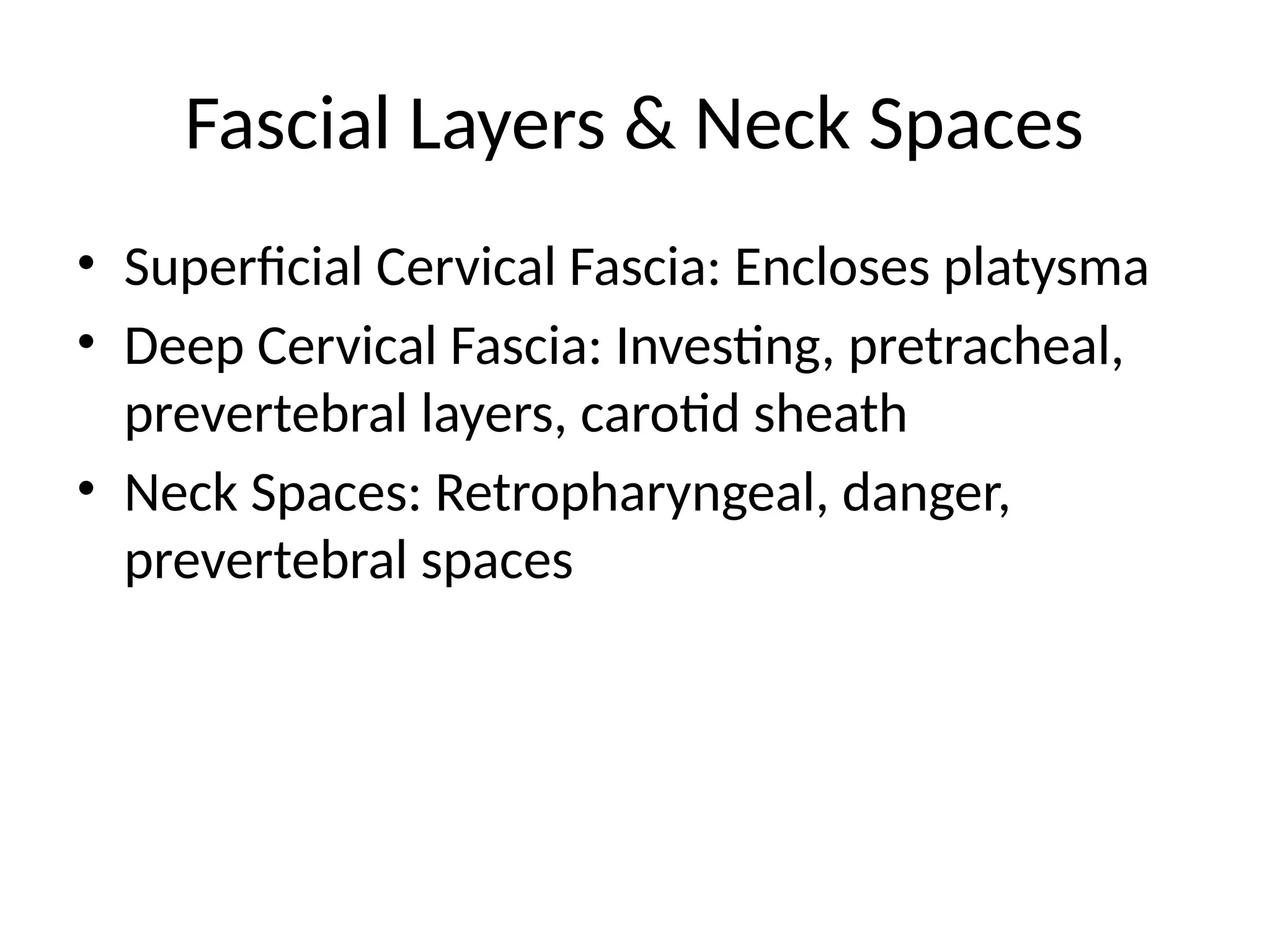 Neck_Anatomy_ENT_Residents_Presentation.pptx