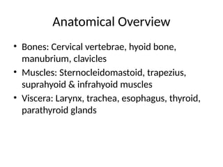 Neck_Anatomy_ENT_Residents_Presentation.pptx