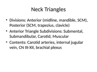 Neck_Anatomy_ENT_Residents_Presentation.pptx