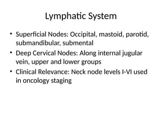 Neck_Anatomy_ENT_Residents_Presentation.pptx