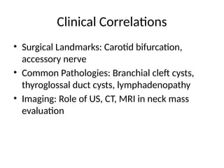 Neck_Anatomy_ENT_Residents_Presentation.pptx