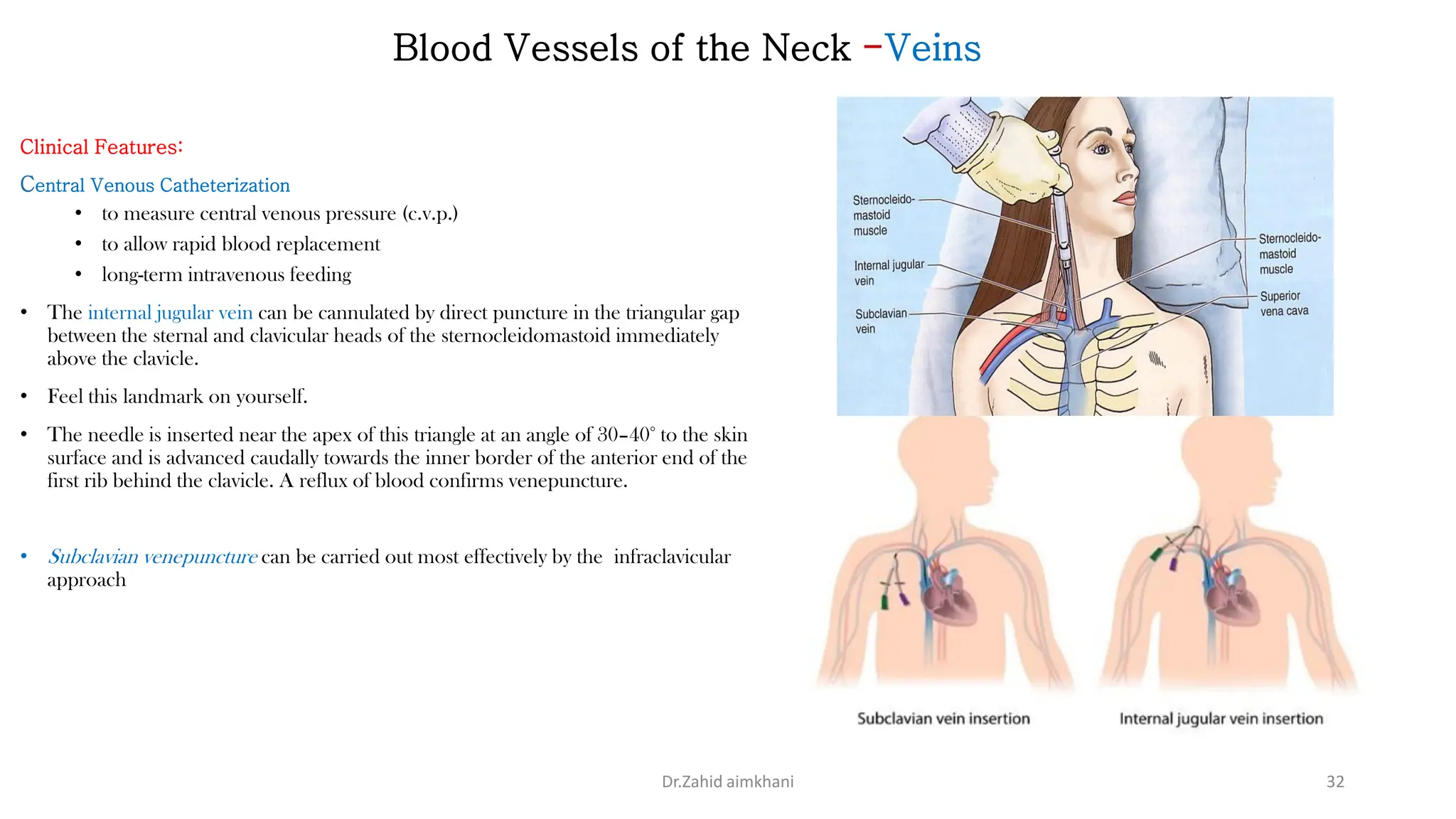NECK anatomy muscles with clinical anatomy.pdf