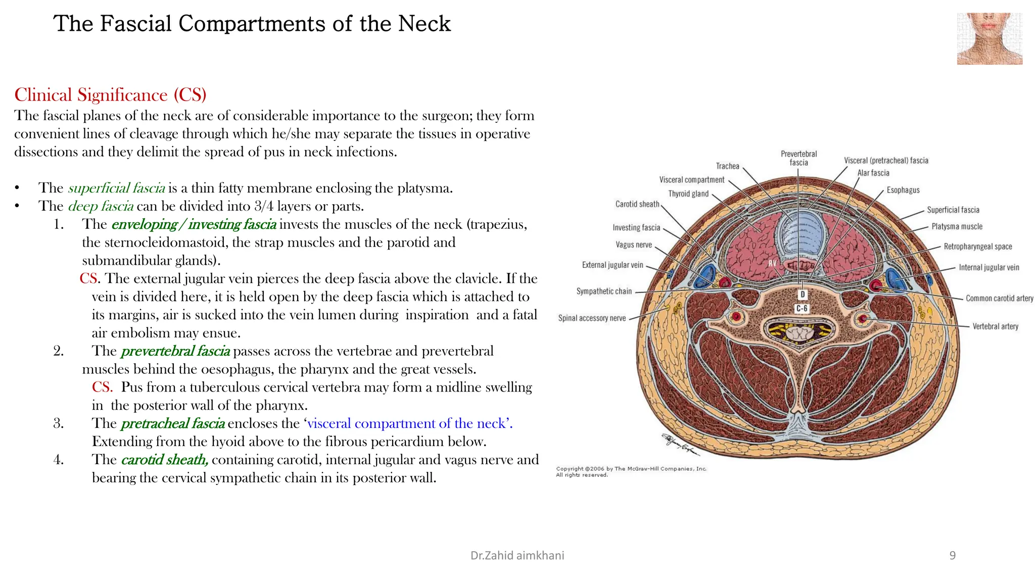 NECK anatomy muscles with clinical anatomy.pdf