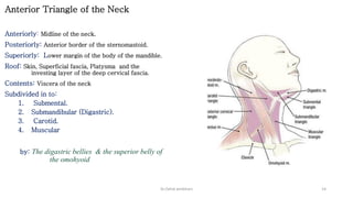 NECK anatomy muscles with clinical anatomy.pdf