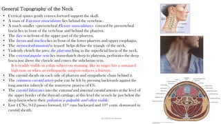 NECK anatomy muscles with clinical anatomy.pdf