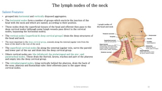 NECK anatomy muscles with clinical anatomy.pdf