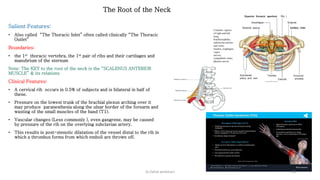 NECK anatomy muscles with clinical anatomy.pdf