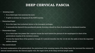 Neck Slides: approach to Neck anatomy and diseases.pdf