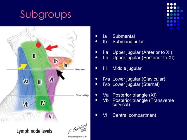 Neck Dissection.Overview | PPT | Thyroid Disorders | Endocrine and ...
