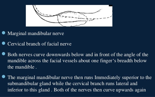 Neck dissection