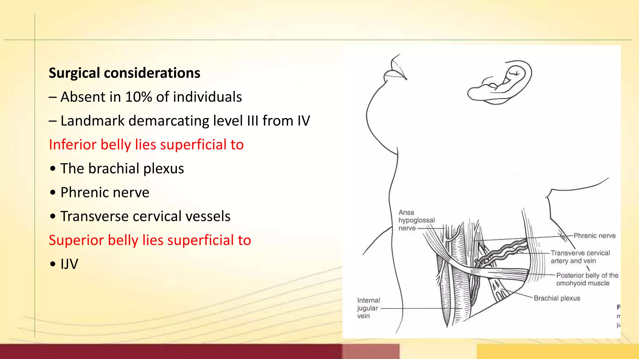 Neck dissection | PPTX