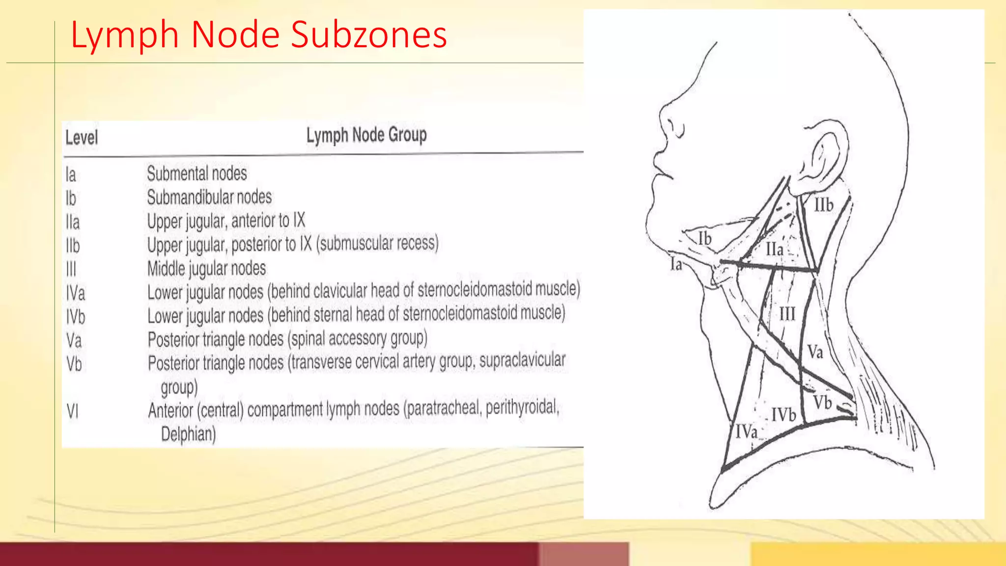 Neck dissection | PPTX