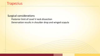 Neck dissection | PPTX