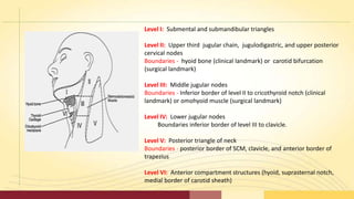 Neck dissection | PPTX
