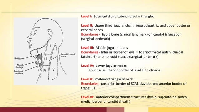 Neck dissection | PPTX