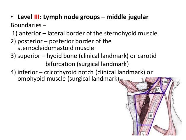 Neck dissection
