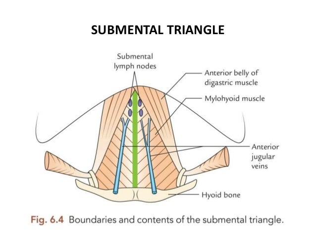 Neck dissection