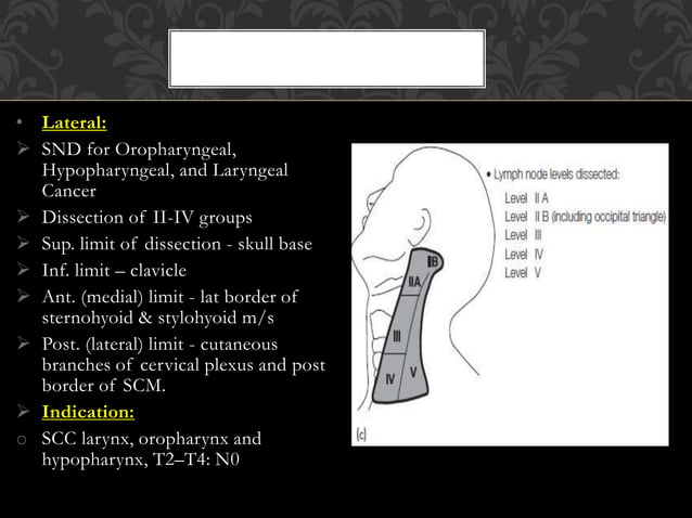Neck dissection | PPTX
