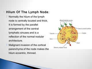 Neck dissection part 1 | PPT