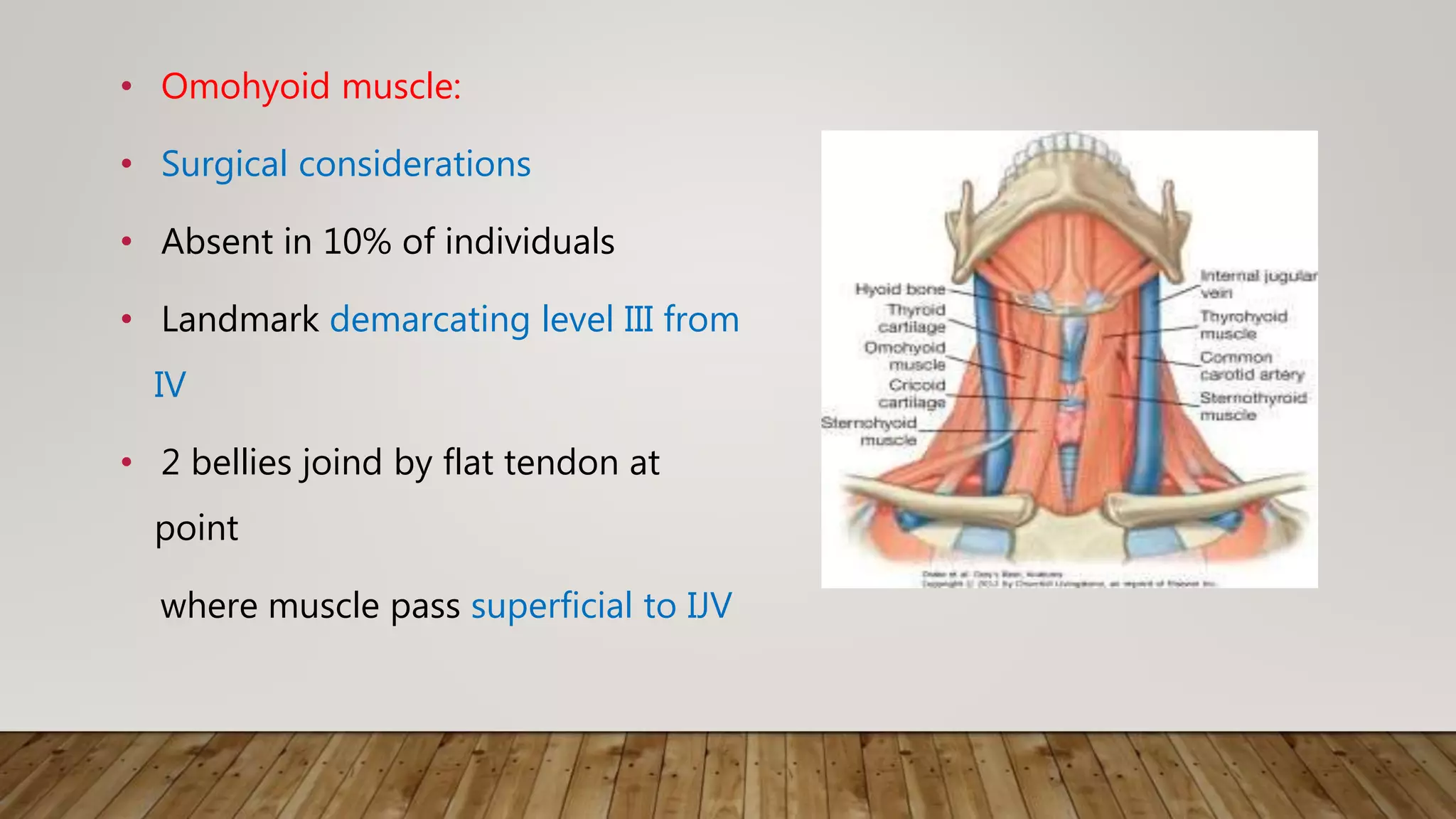 Neck dissection | PPTX