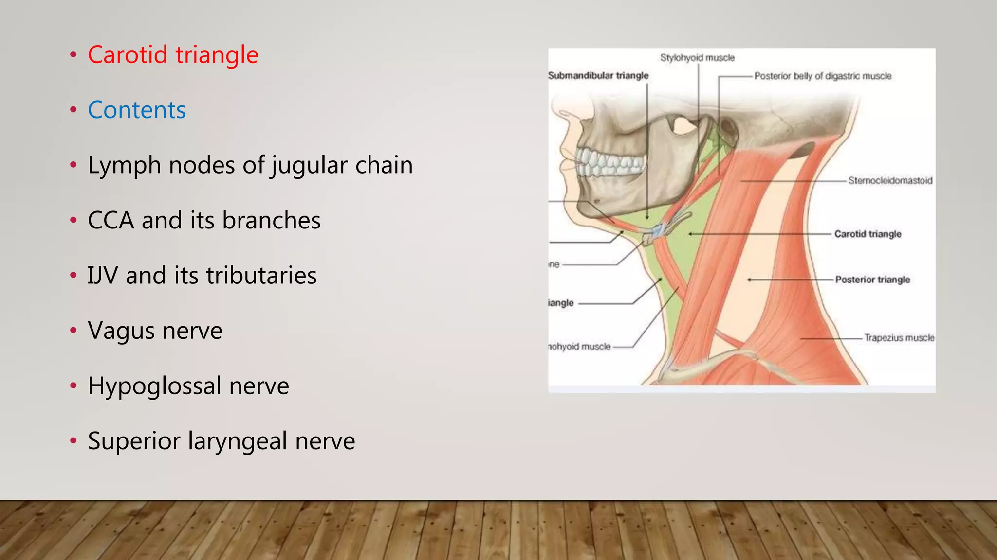 Neck dissection | PPTX