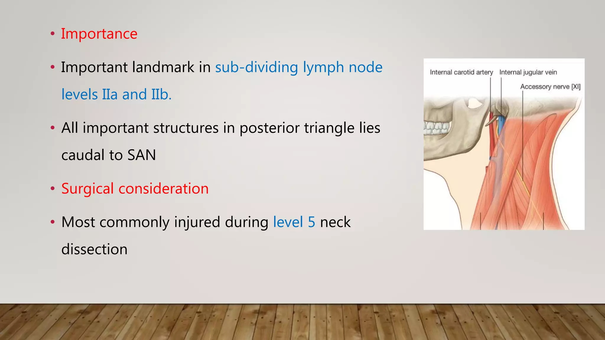Neck dissection | PPTX
