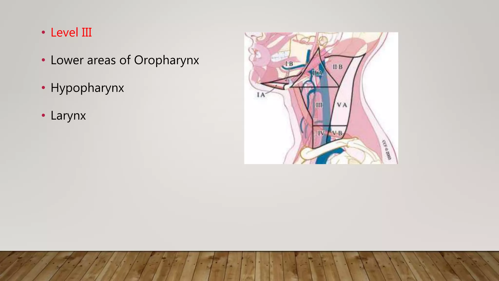 Neck dissection | PPTX