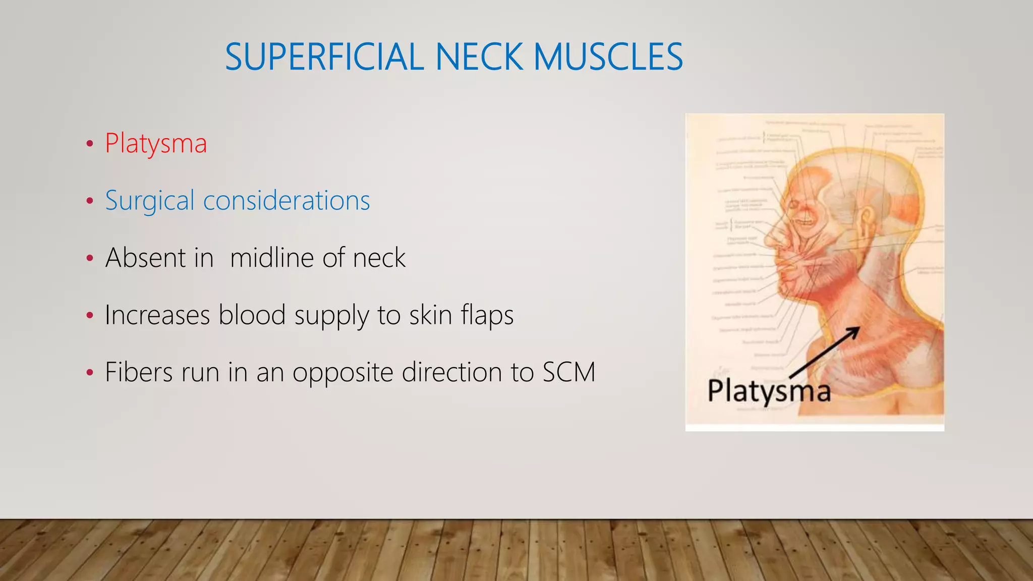 Neck dissection | PPTX