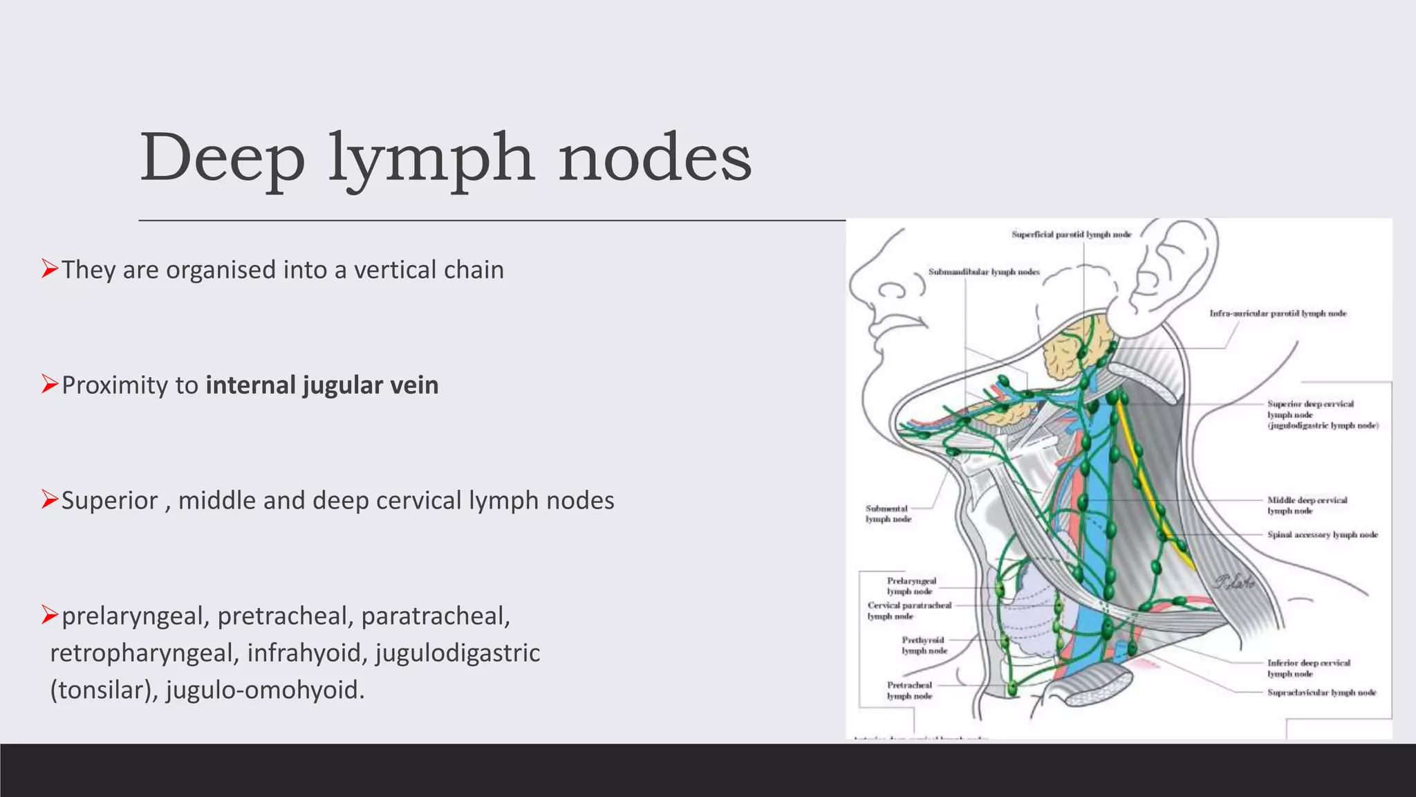Neck dissection | PPTX