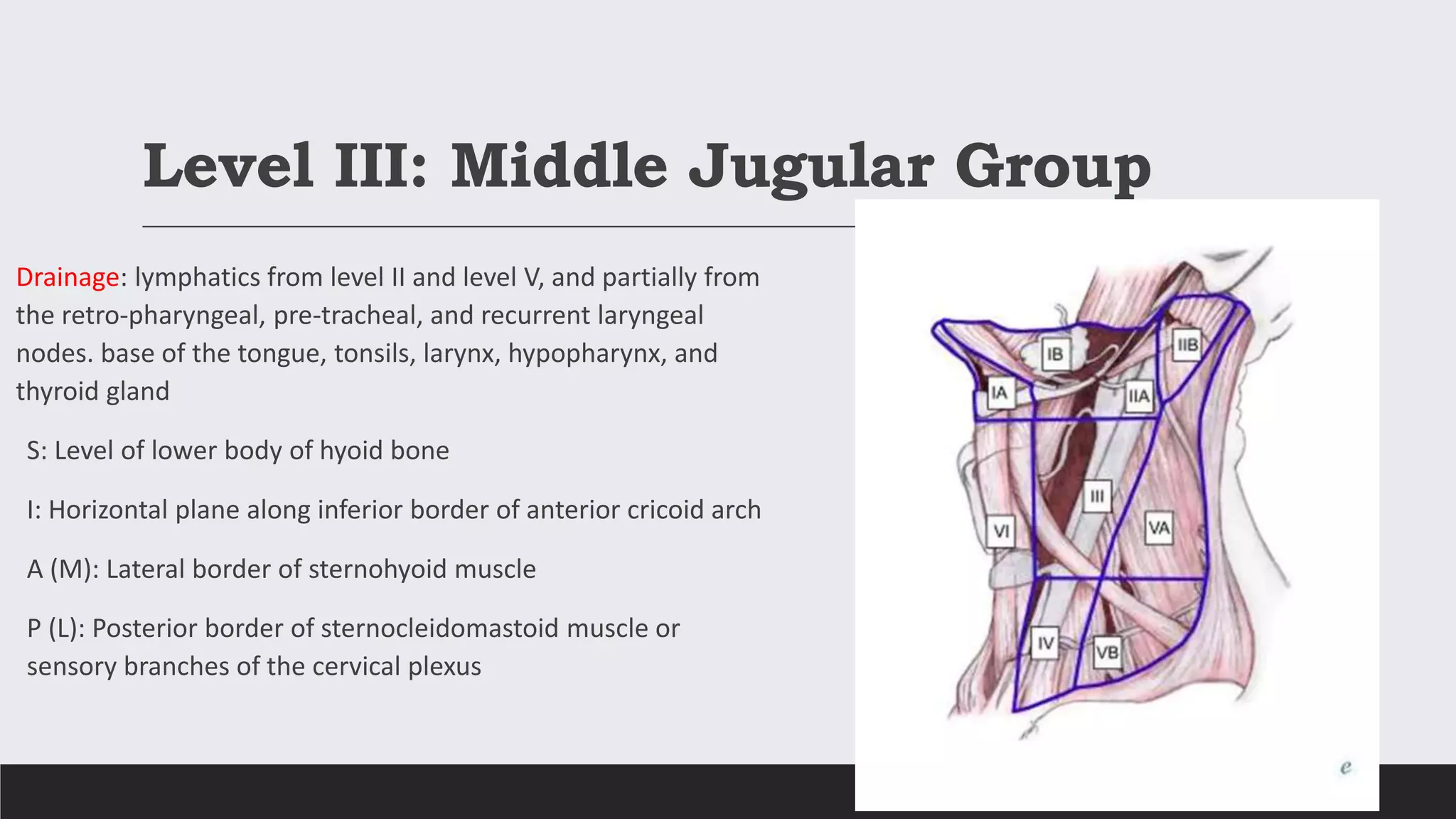 Neck dissection | PPTX