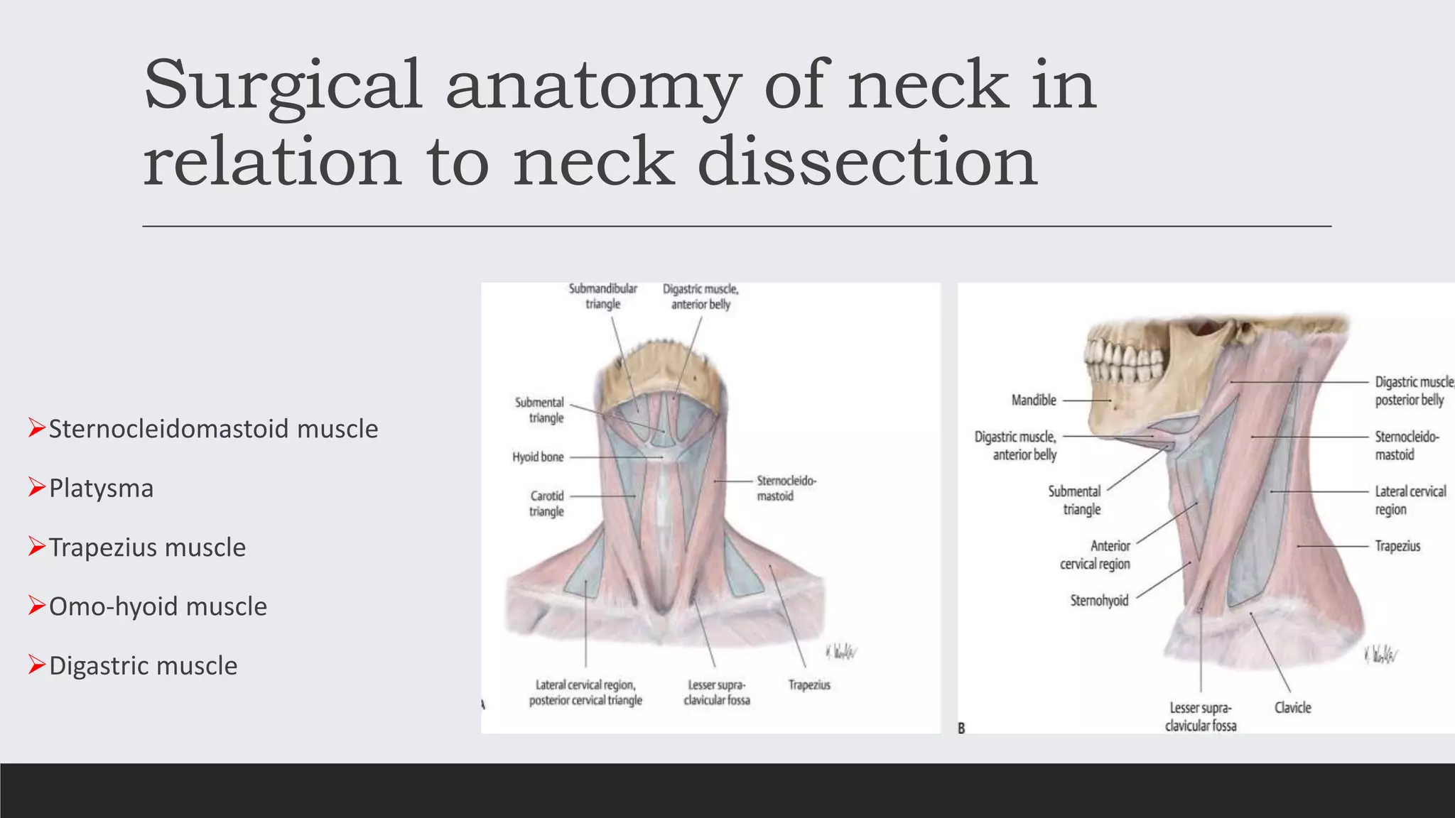 Neck dissection | PPTX