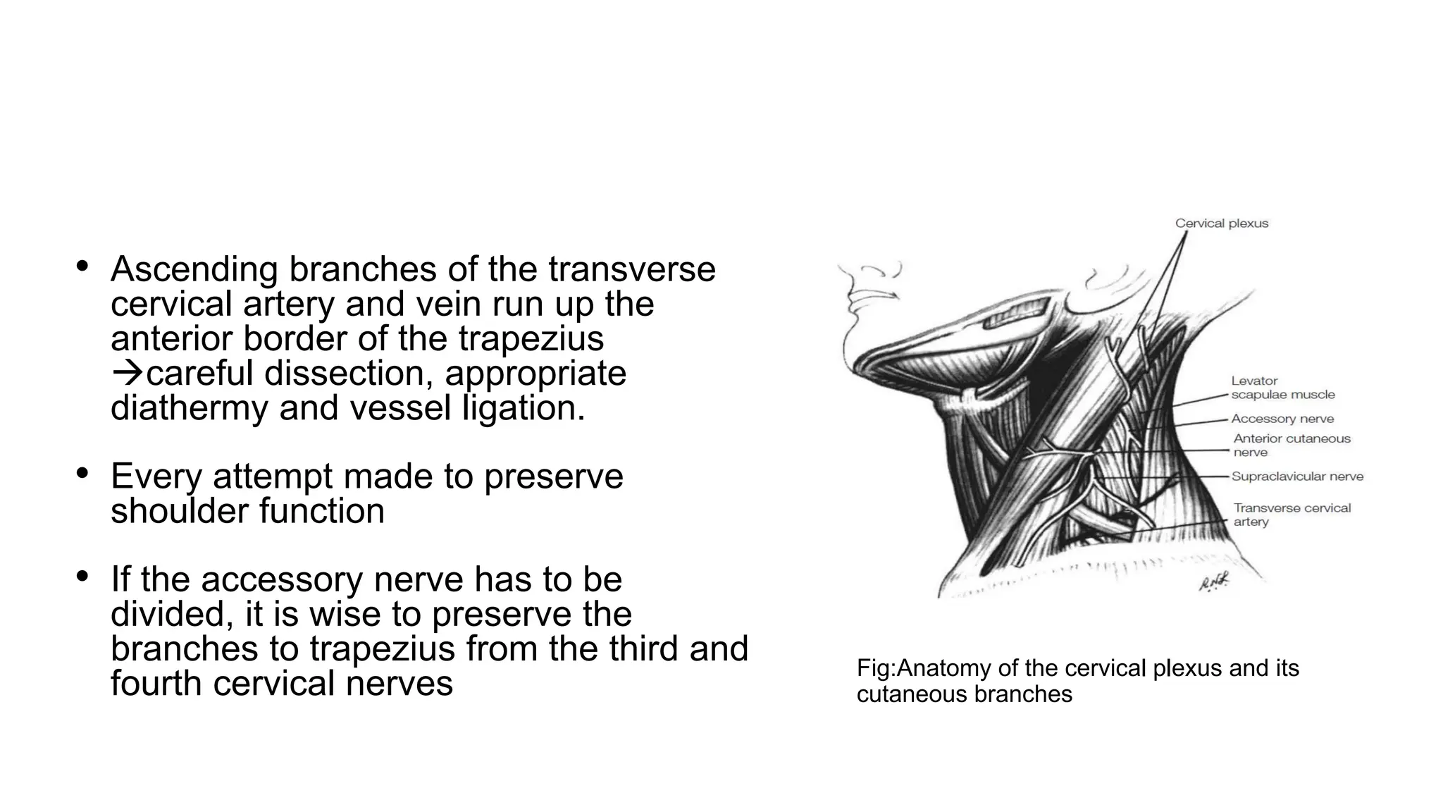 Neck Dissection Head Neck oncoSurgery.pptx