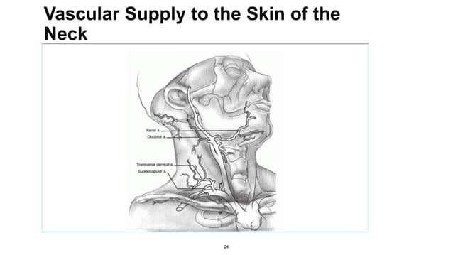 Neck Dissection Head Neck oncoSurgery.pptx | Death, Injury, or Military ...