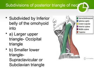 neck dissection mrnd and rnd in head and neck cancer.pptx