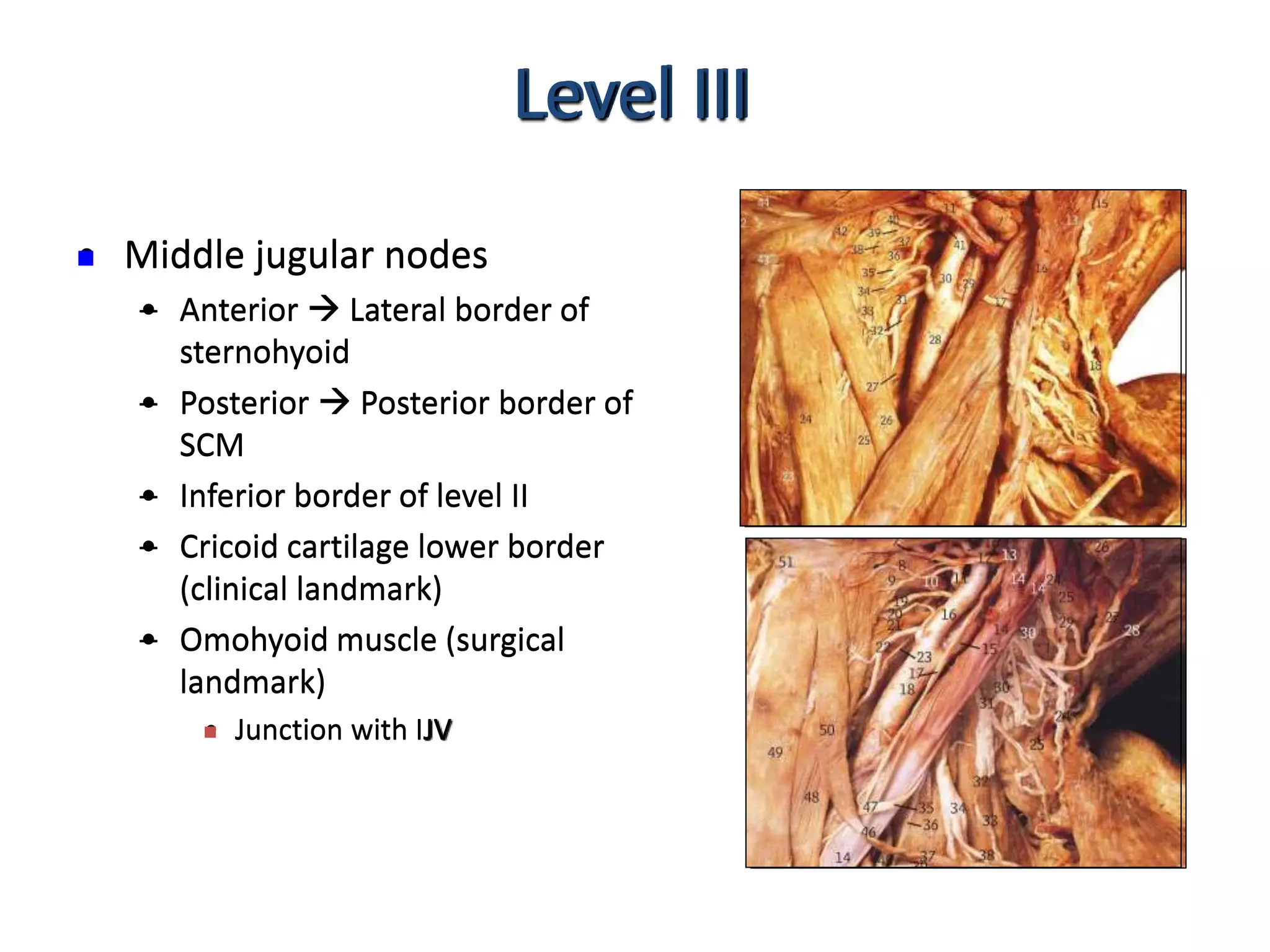 NECK DISSECTION- A COMPREHENSIVE STUDY | PPTX