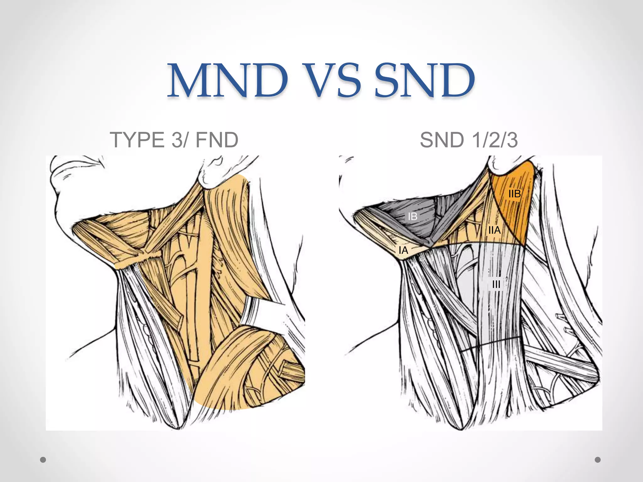 Neck dissection & local flap IN HNSCC | PPT