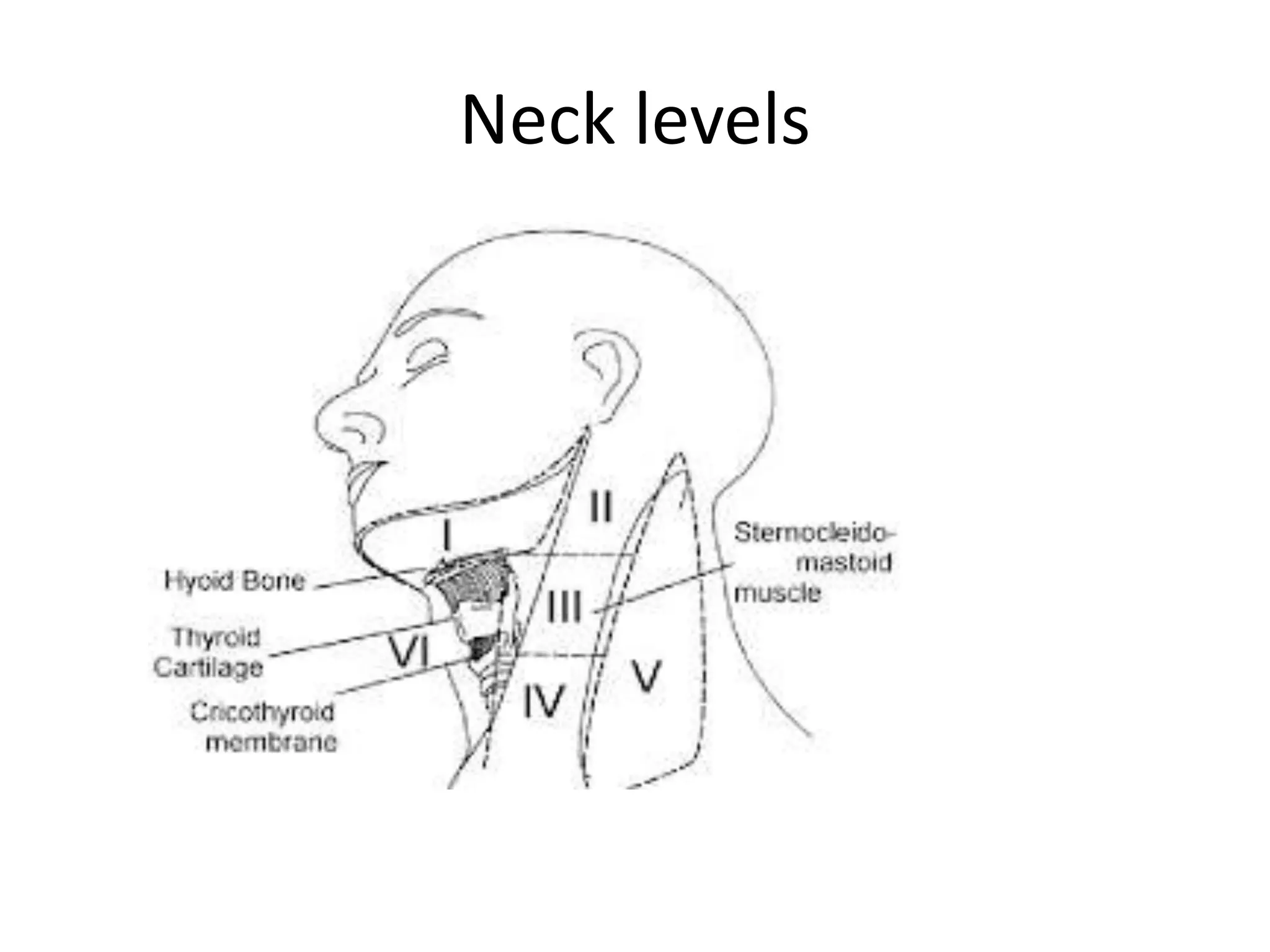Neck dissection procedure | PPTX