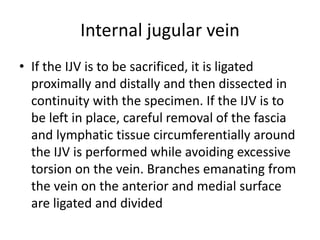 Neck dissection procedure | PPTX