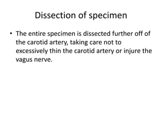 Neck dissection procedure | PPTX