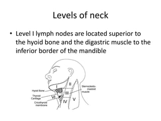 Neck dissection procedure | PPTX