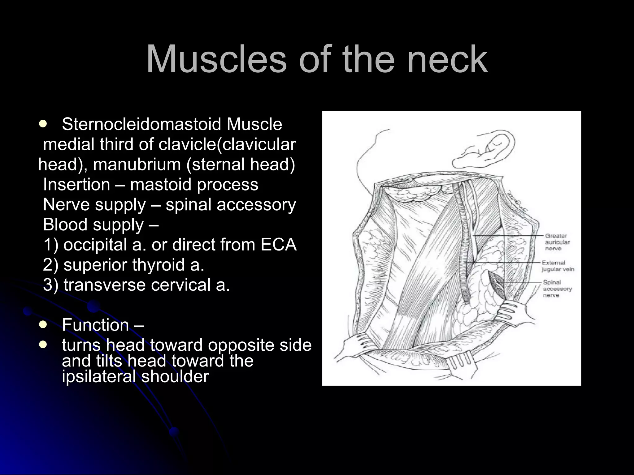 Neck Dissections | PPT