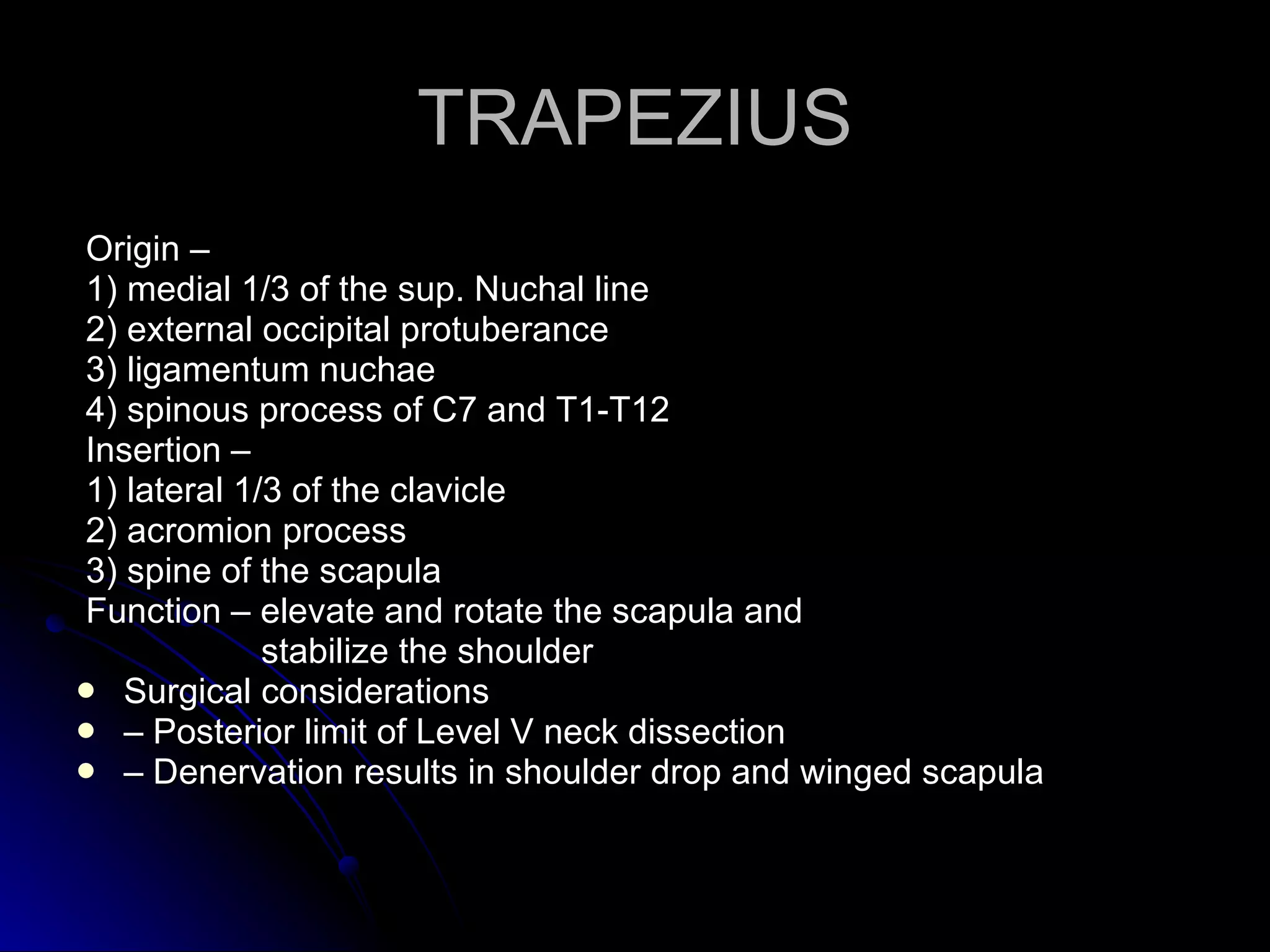Neck Dissections | PPT