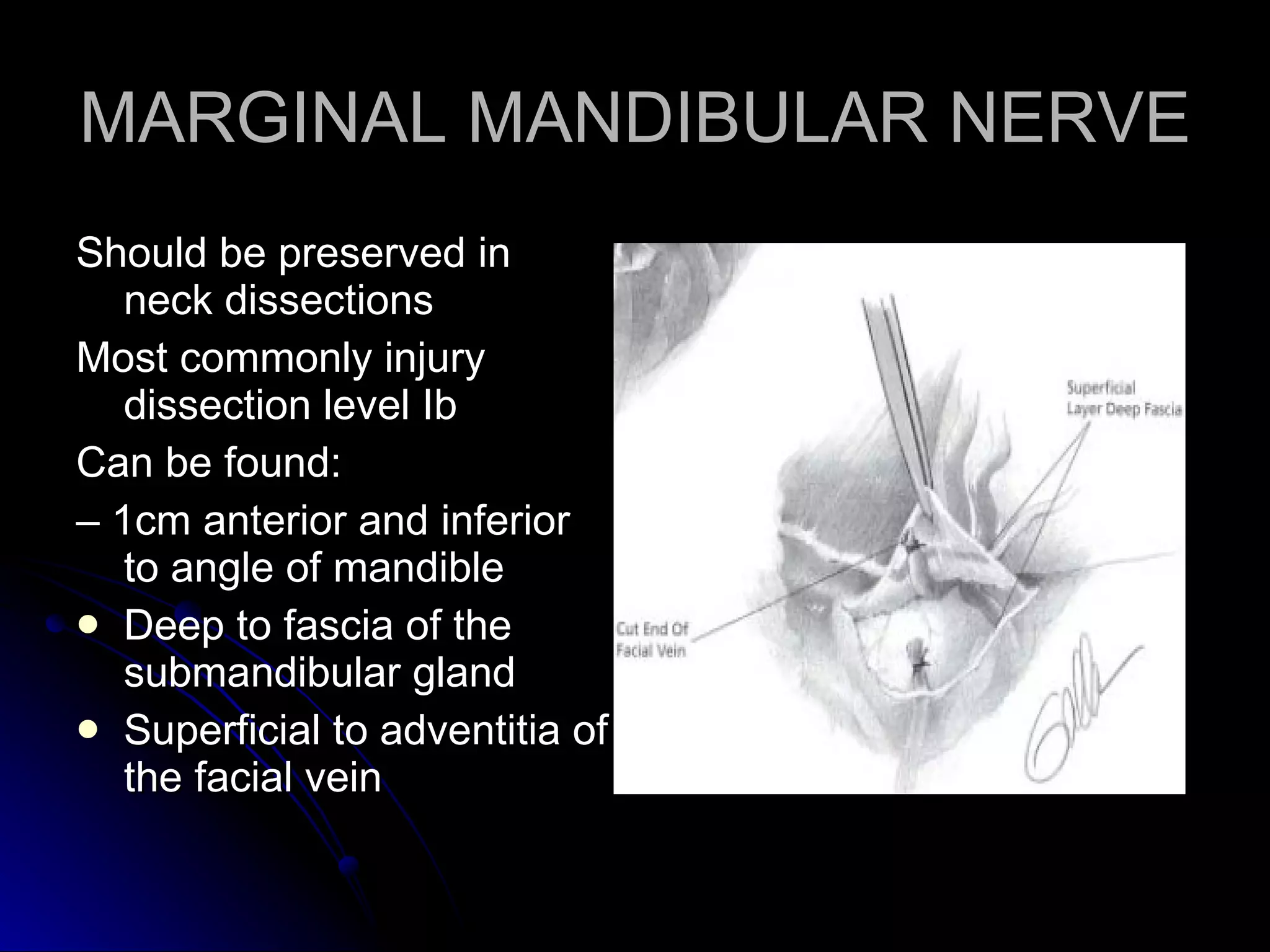 Neck Dissections | PPT
