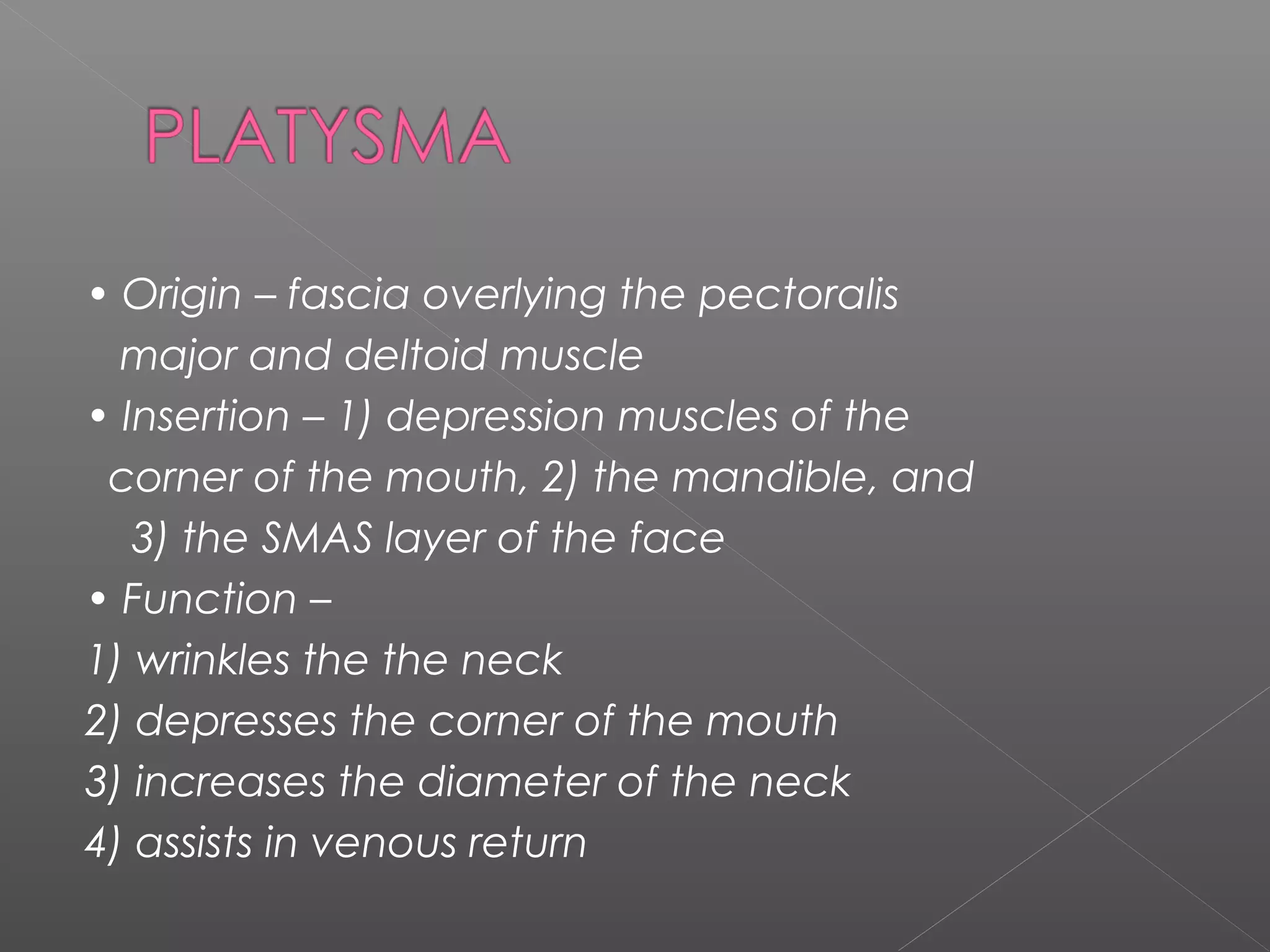 Neck dissections | PPT