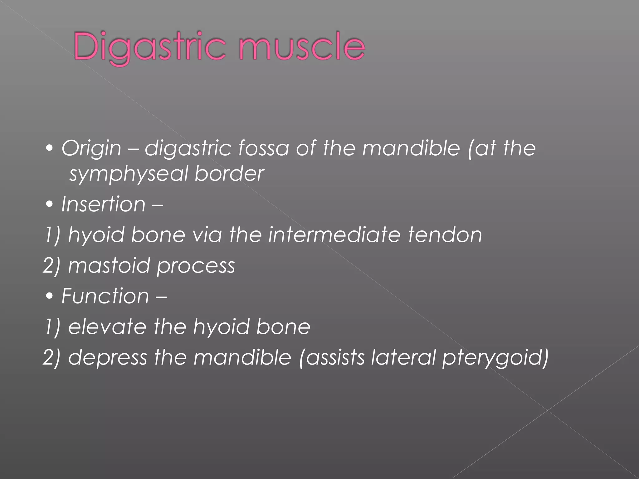 Neck dissections | PPT