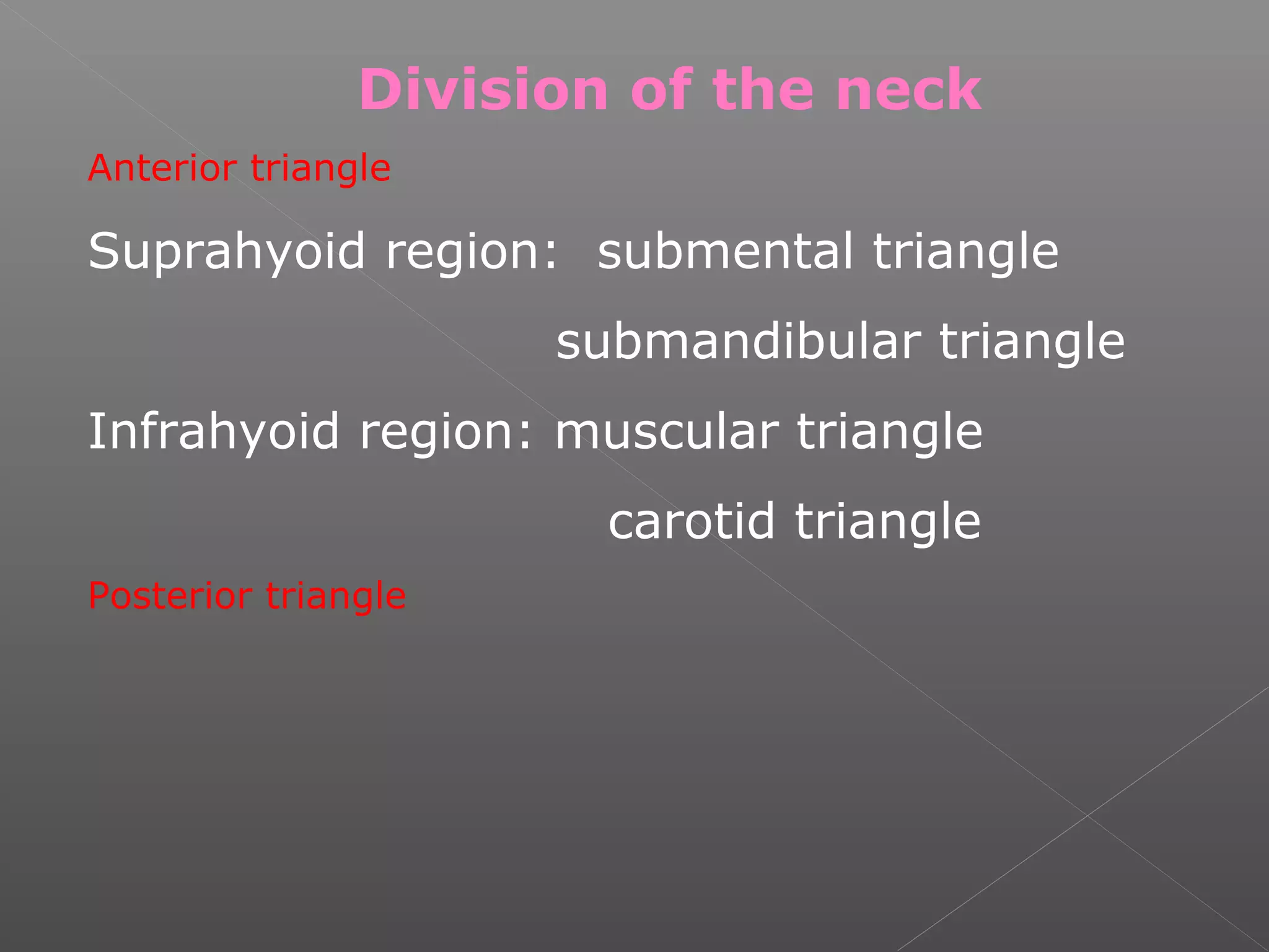 Neck dissections | PPT