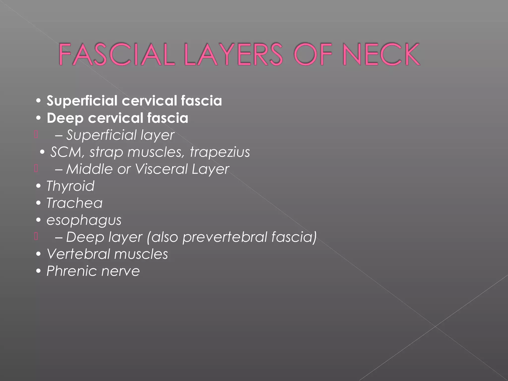 Neck dissections | PPT