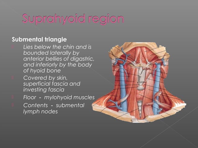 Neck dissections | PPT