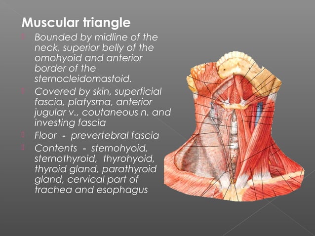 Neck dissections | PPT