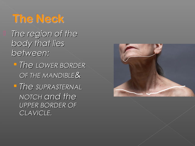 Neck dissections | PPT